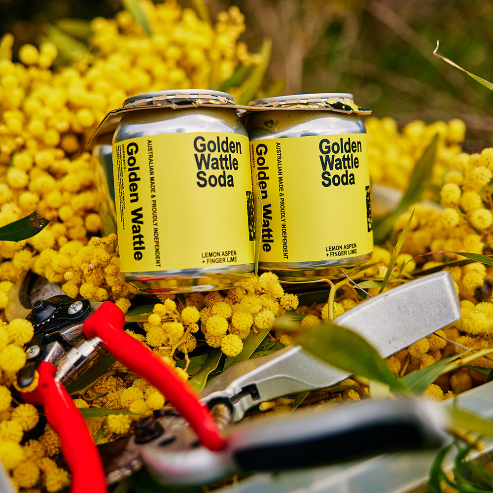 Mischief Brew - Small Batch Natural Sodas - Shop Online