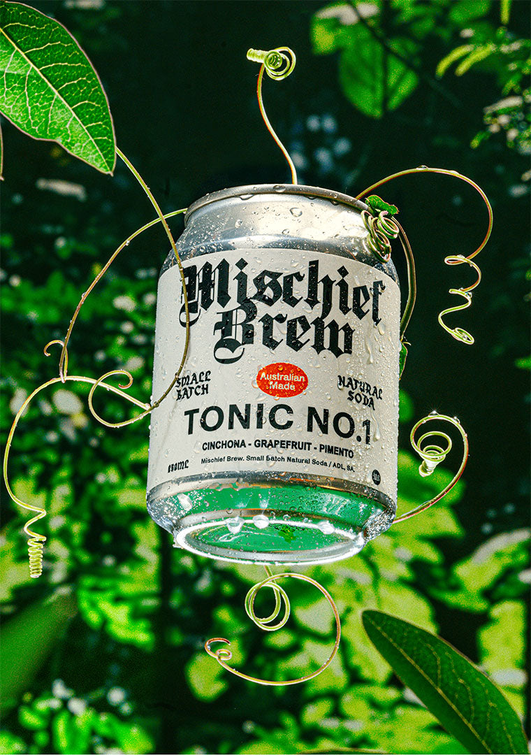 Mischief Brew - Small Batch Natural Sodas - Shop Online